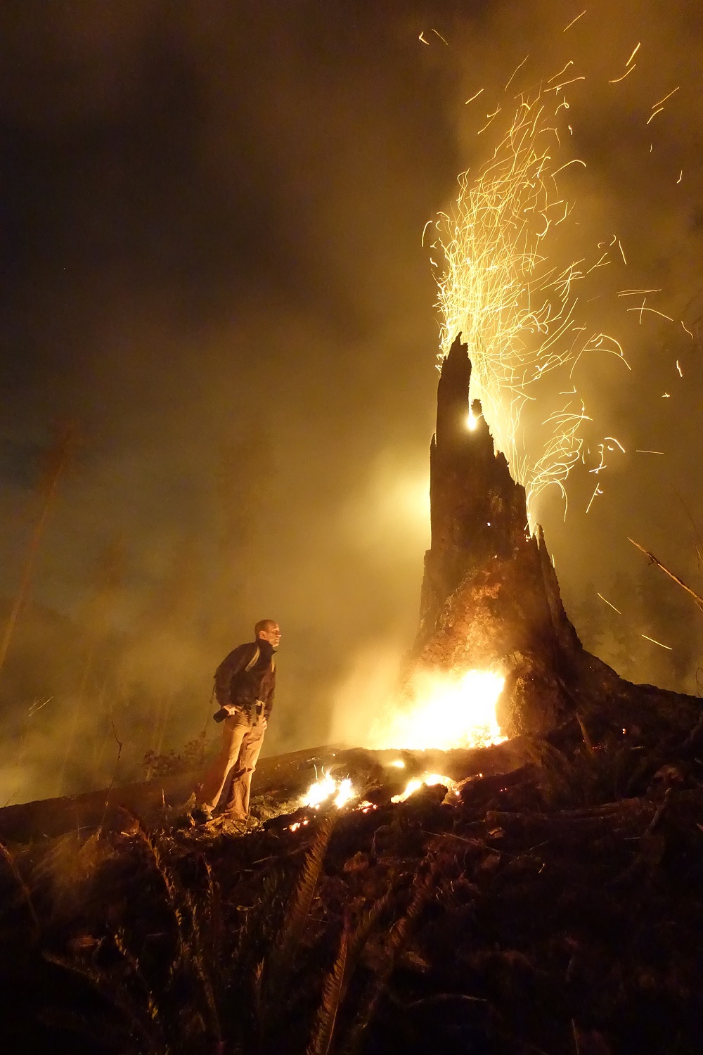 Gallery – Friends of OSU Old Growth